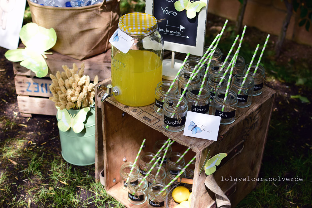 ¿ Os gustan las mariposas ? – Lola y el Caracol Verde