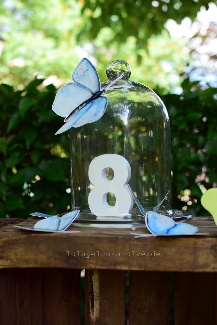 ¿ Os gustan las mariposas ? – Lola y el Caracol Verde