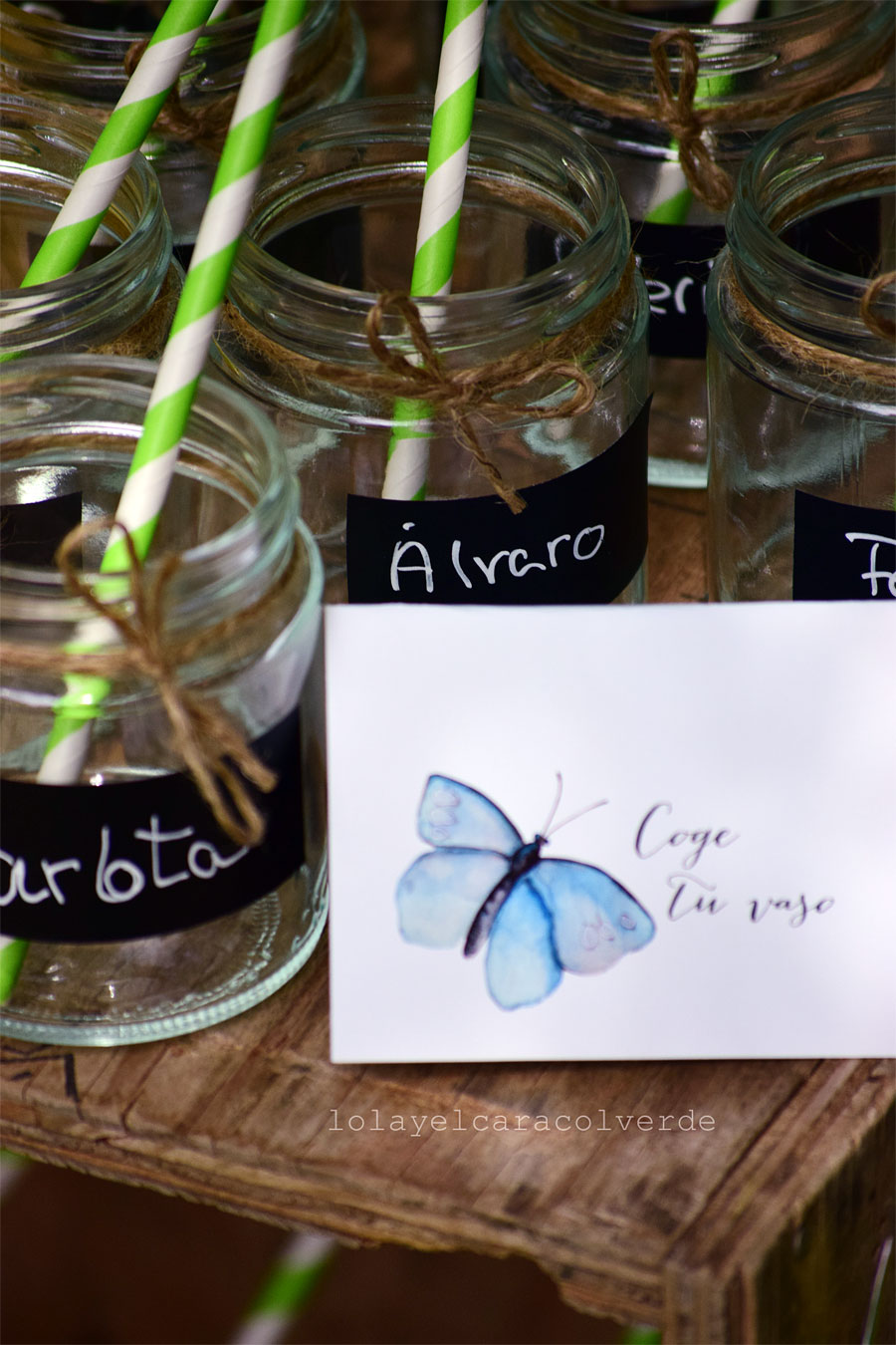 ¿ Os gustan las mariposas ? – Lola y el Caracol Verde